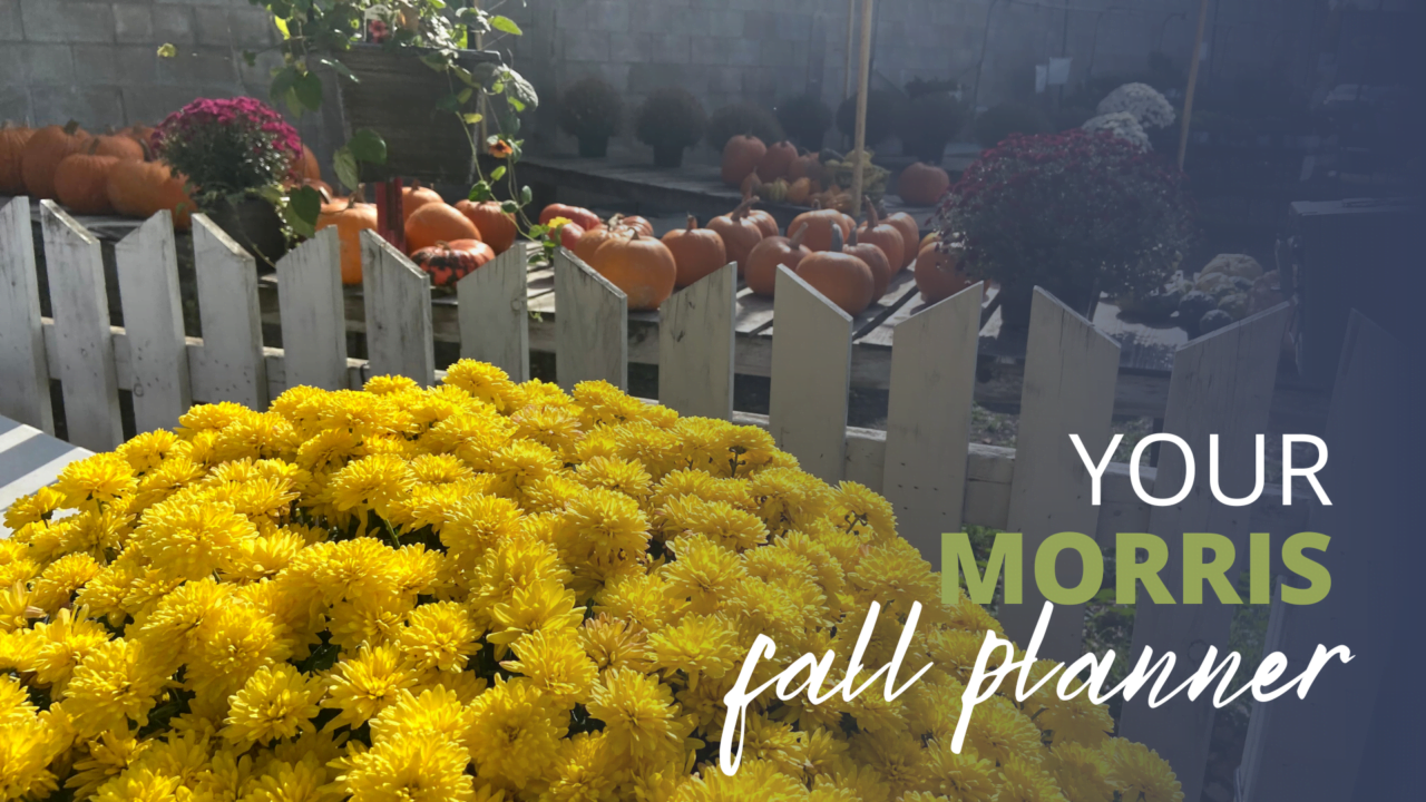 Morris MN Tourism - City of Morris