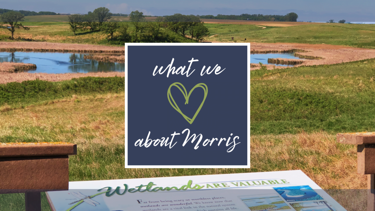 What We Love About Morris - City of Morris